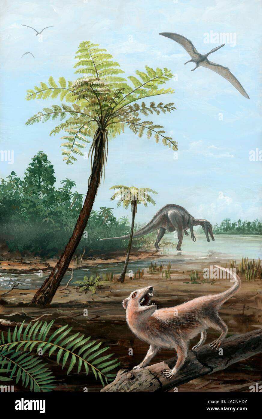Cretaceous landscape. Artwork of animals and plants in a Cretaceous ...