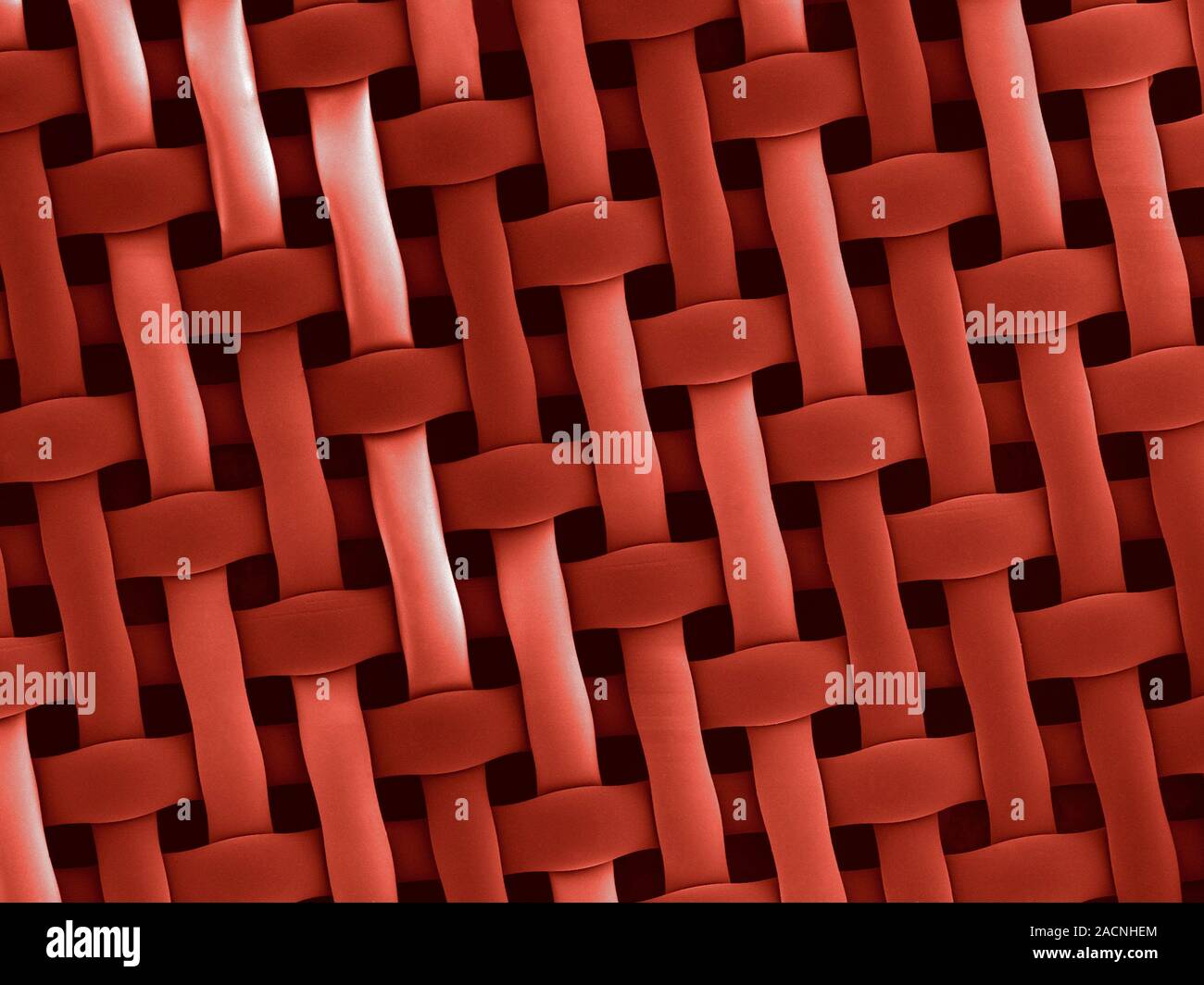 Filter. Coloured scanning electron micrograph (SEM) showing the ...