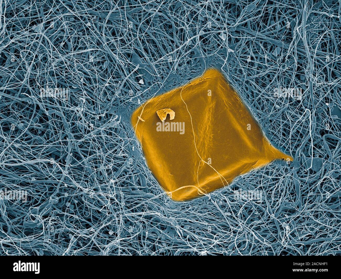 Non-woven textile fibres. Coloured scanning electron micrograph (SEM ...