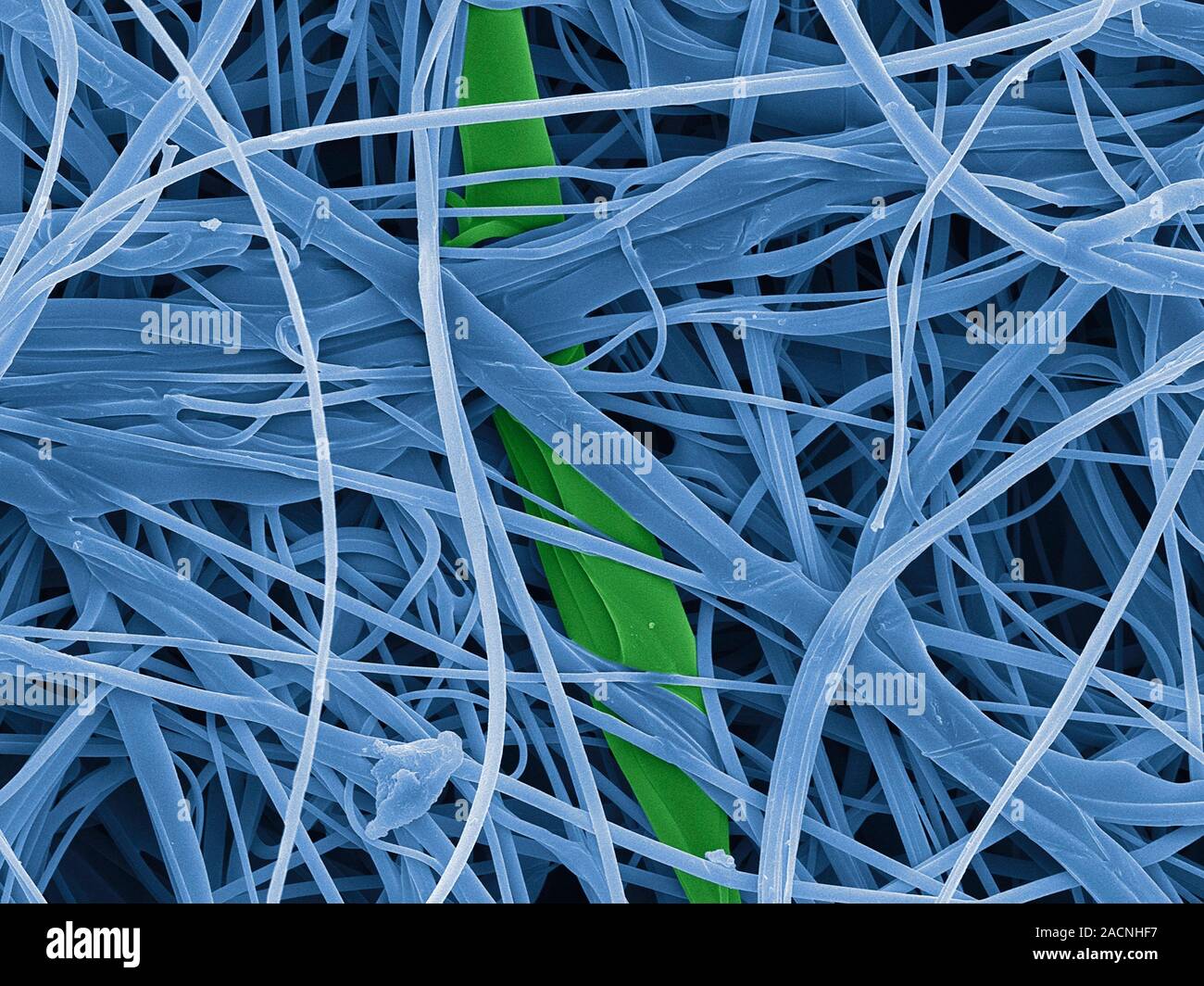 Non-woven textile fibres. Coloured scanning electron micrograph (SEM ...