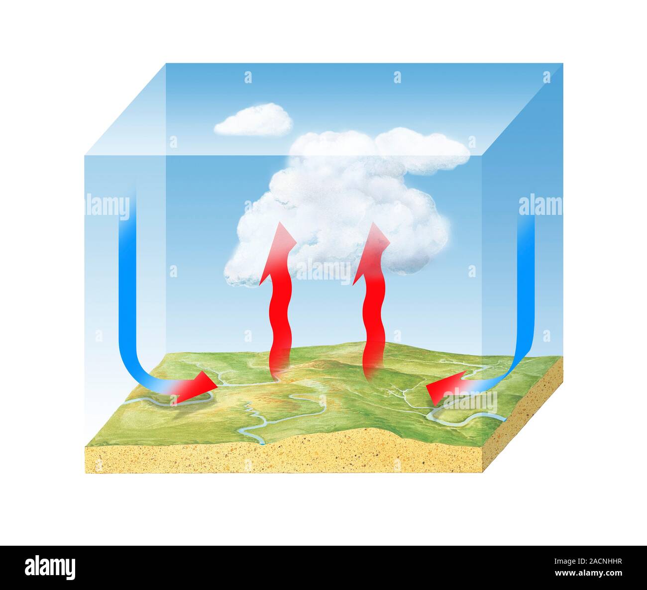 Convection cloud formation. Diagram showing the formation of clouds by ...