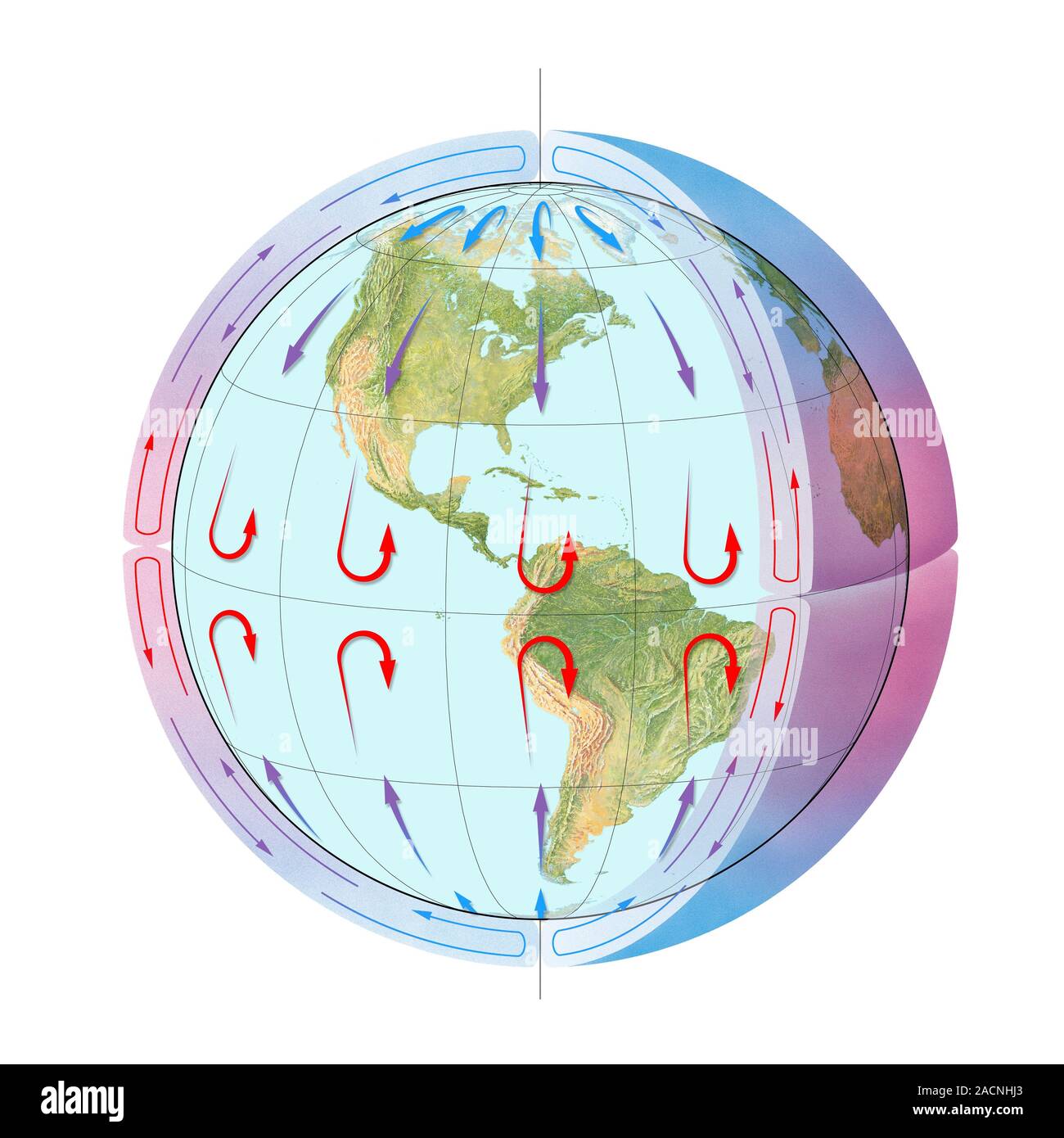 Global winds. This model shows surface winds and vertical wind ...