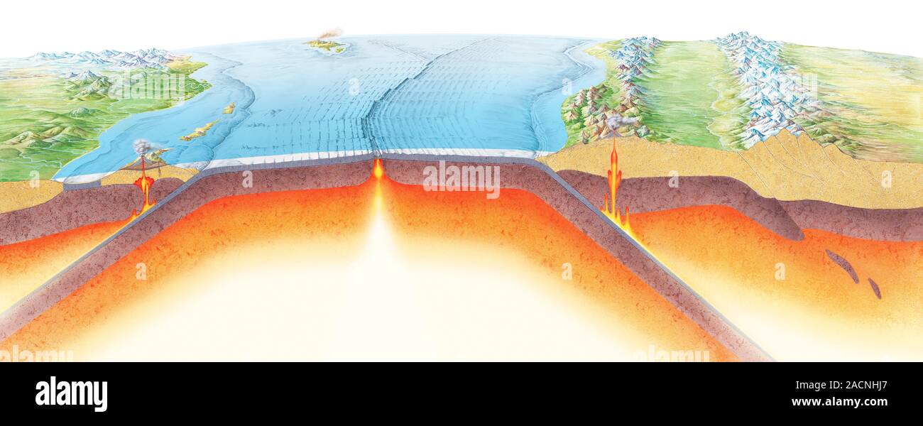 Plate tectonics. Artwork showing plate tectonics around an ocean basin ...