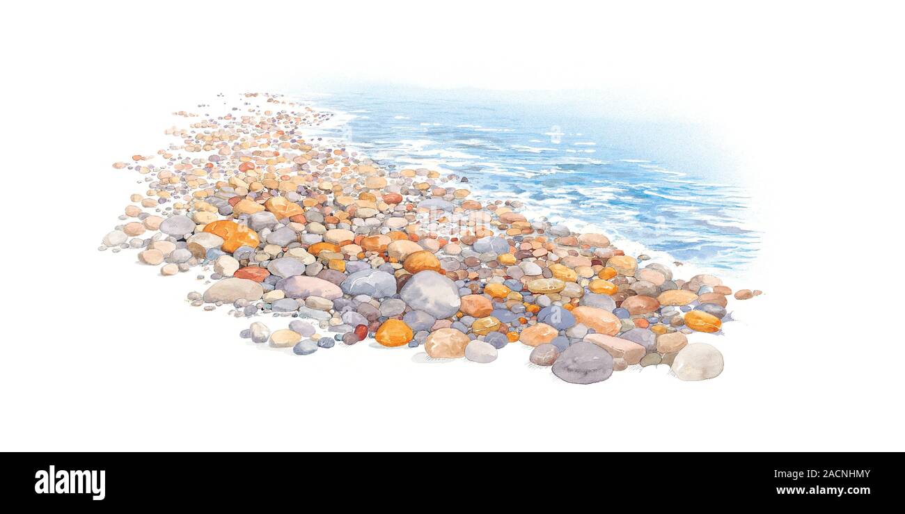 Shingle beach. Artwork of pebbles and stones making up a shingle beach ...