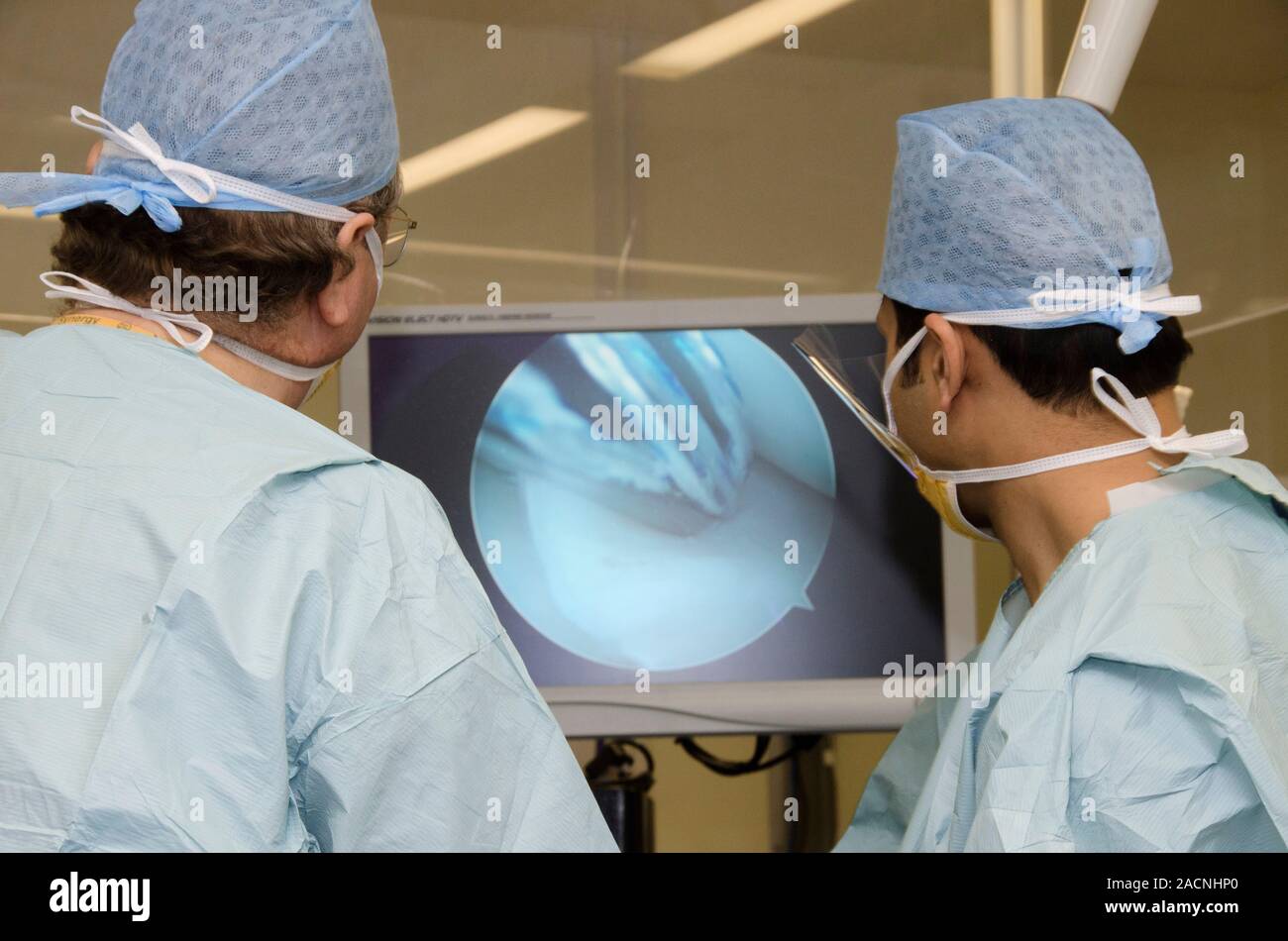 Knee ligament reconstruction surgery. Surgeons using an arthroscope ...