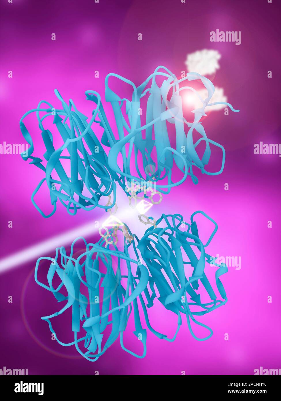 UVR8 protein molecule. Computer model showing photoreception of UV-B ...