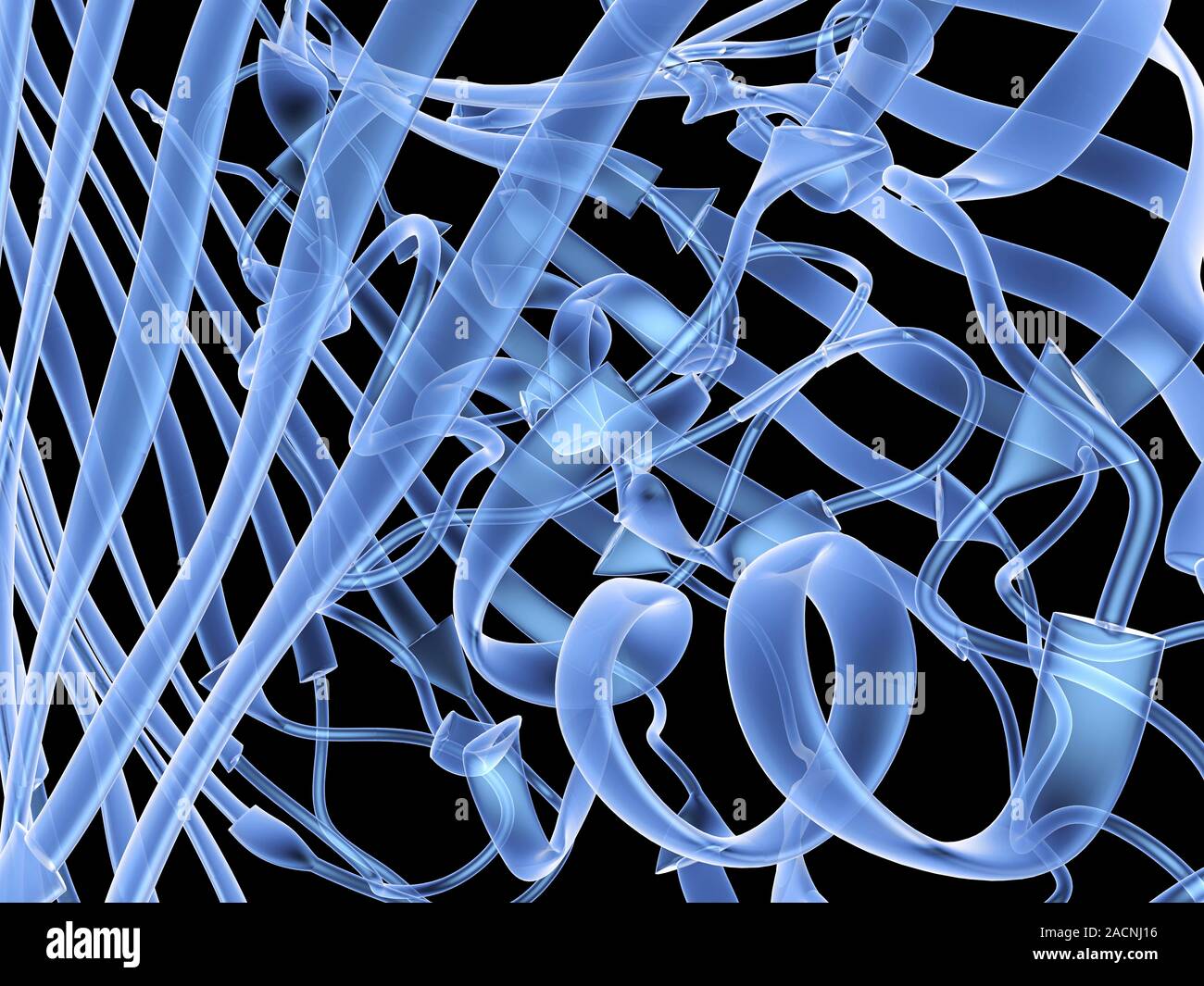 Bacterial outer membrane protein molecule. Computer model showing the ...
