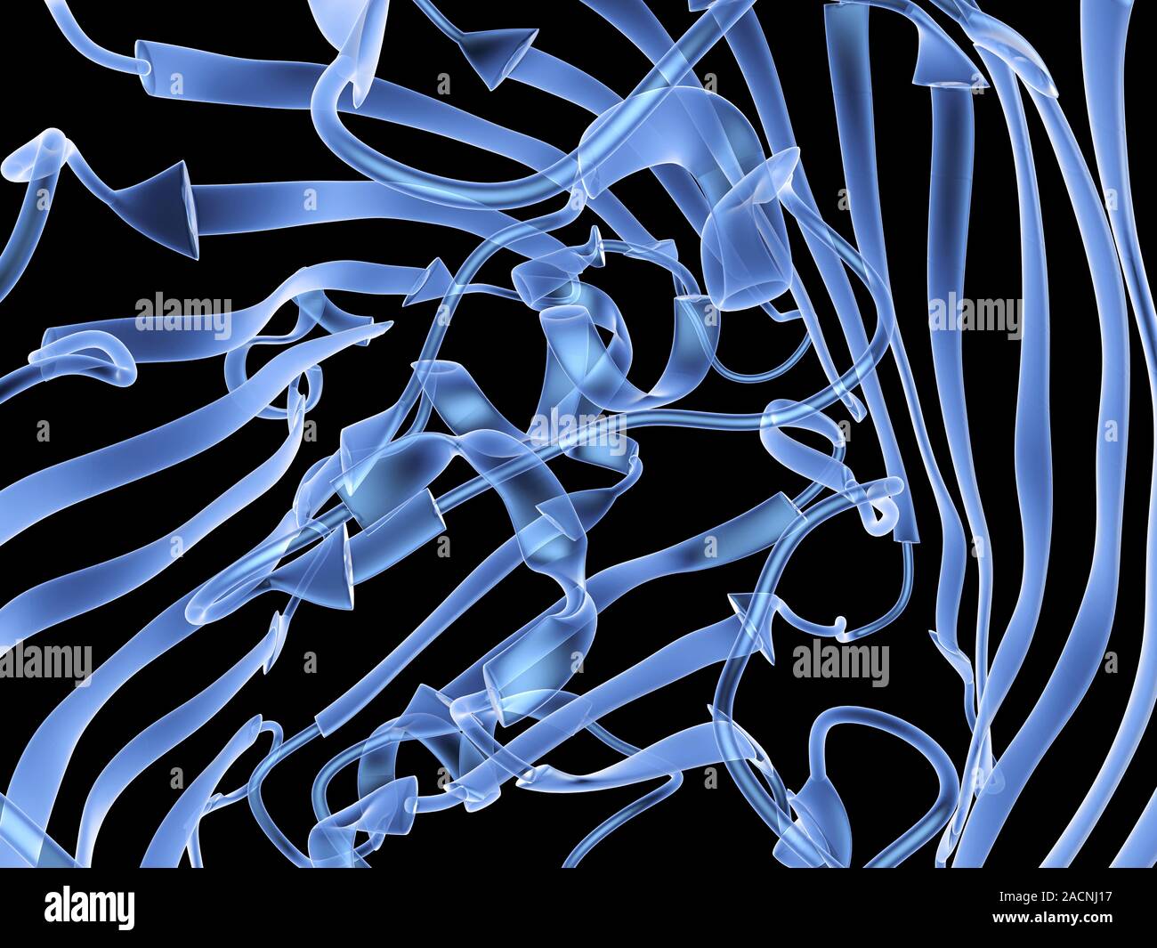 Bacterial outer membrane protein molecule. Computer model showing the ...