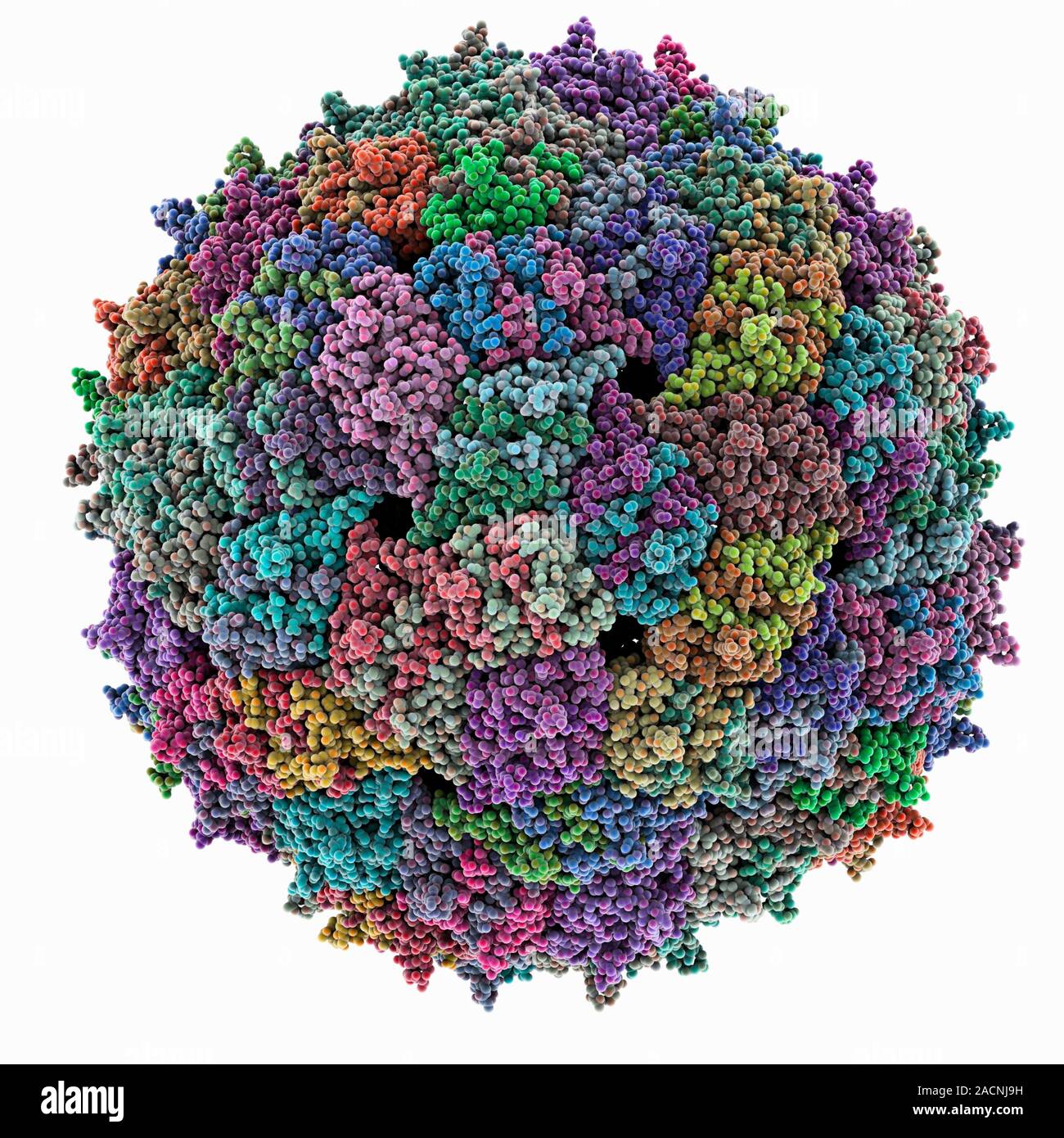 GA bacteriophage capsid, molecular model. Bacteriophages are viruses ...