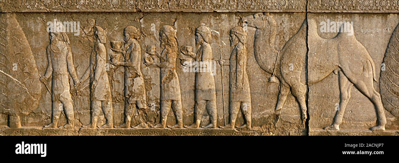 Persepolis. Bas-relief from Persepolis, Iran, showing groups of various ...