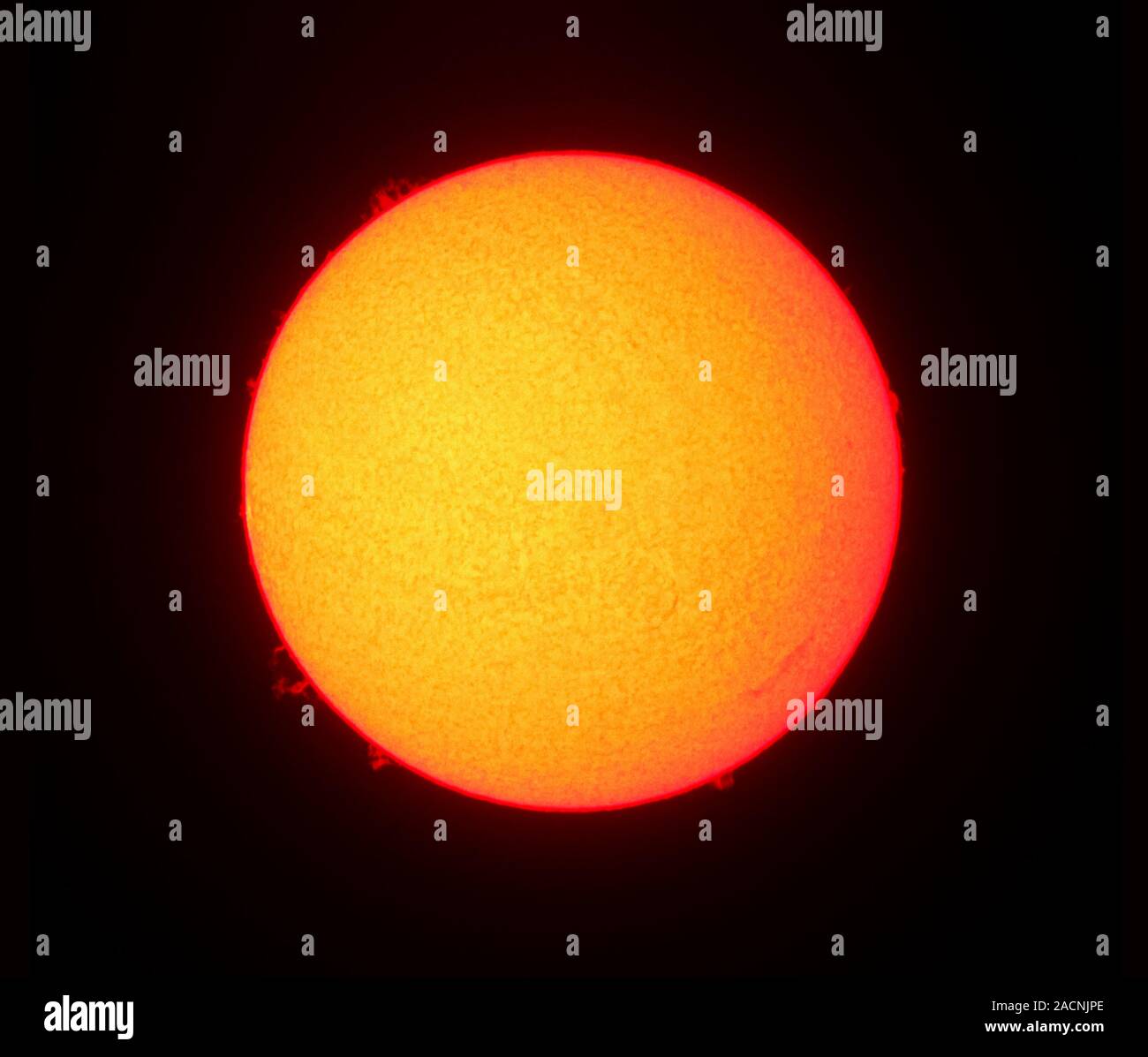 Solar prominences. Image showing solar prominences during a time of ...