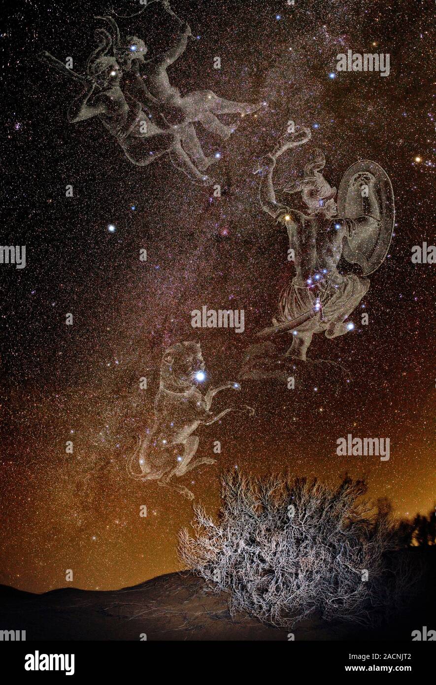 Constellations over a desert. View of the night sky over the Maranjab ...