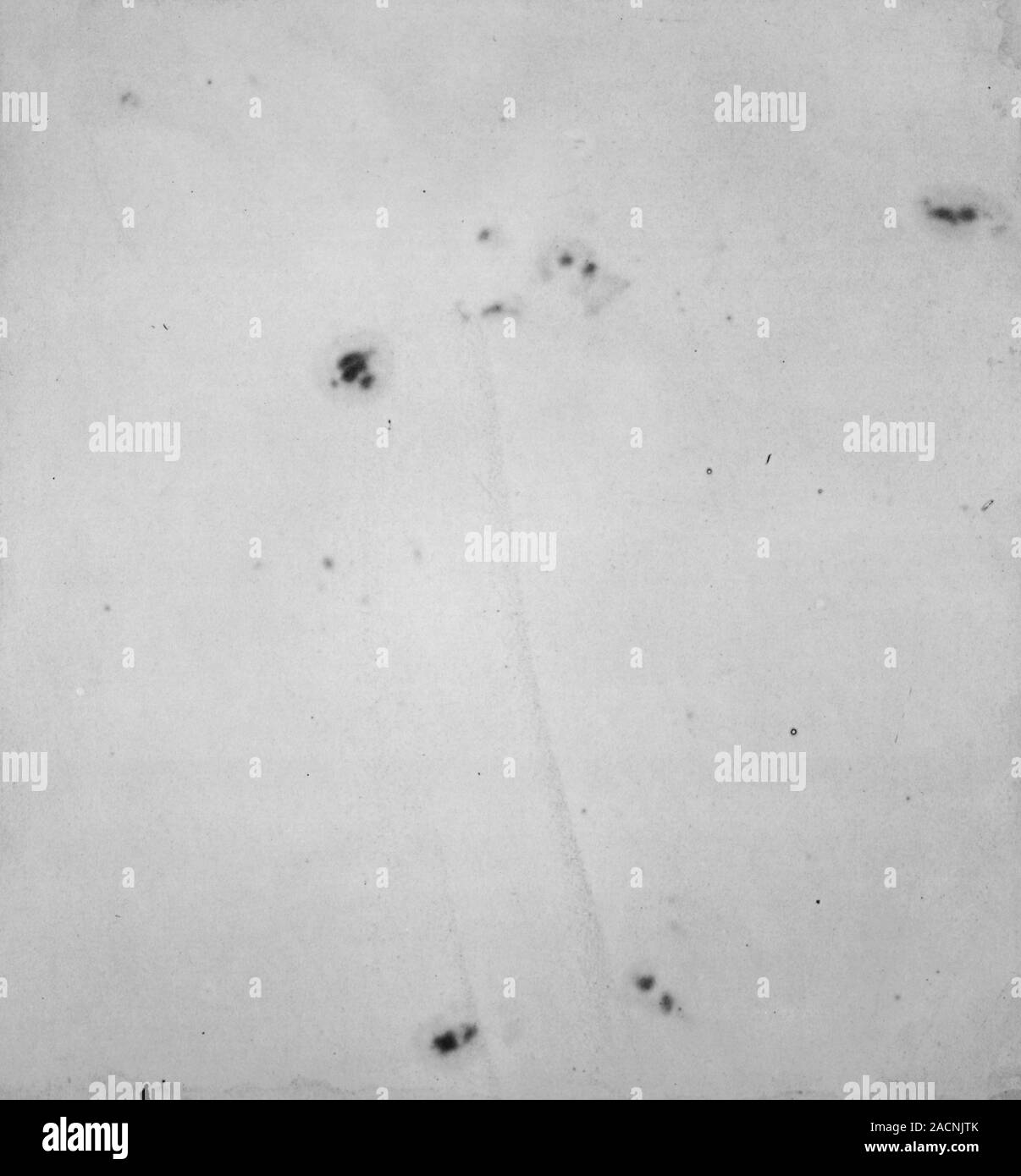 Sunspot observation, 1861. Titled 'A Bit of the Sun', this photograph ...