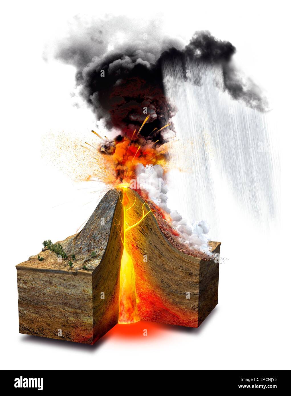 Erupting volcano. Cutaway computer artwork of an erupting volcano ...