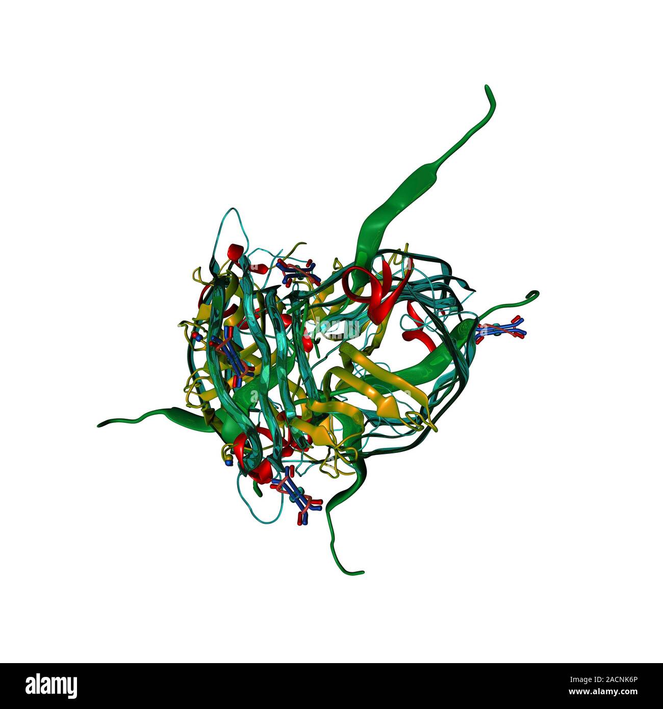 Saliva chemicals. Molecular structure of a group of saliva molecules ...