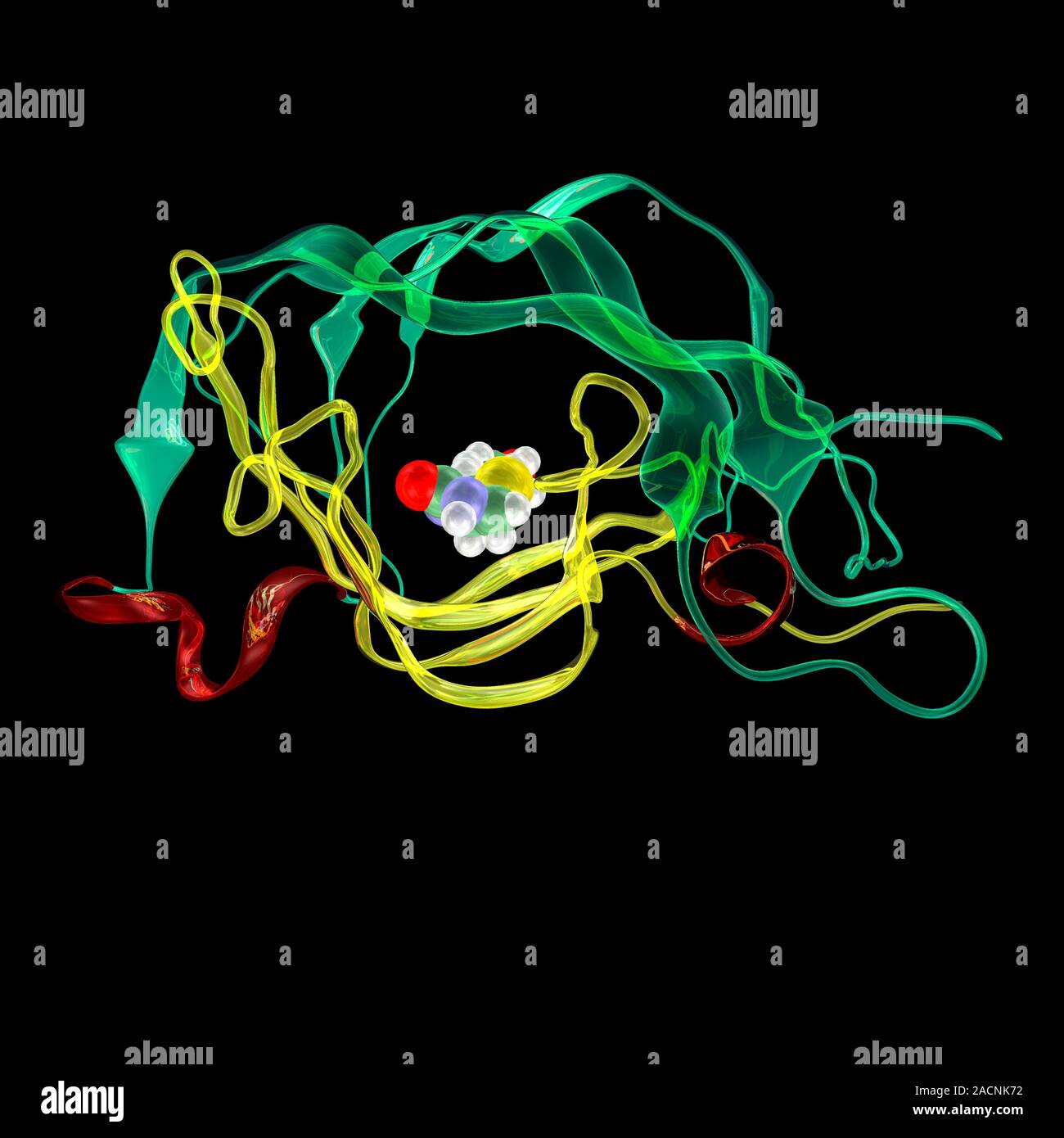 Streptavidin-biotin molecular complex. Molecular model of a single ...