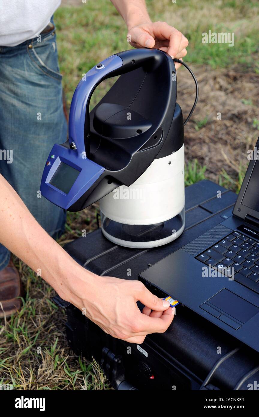 Measuring the maturity of grapes. Person using a handheld meter to ...