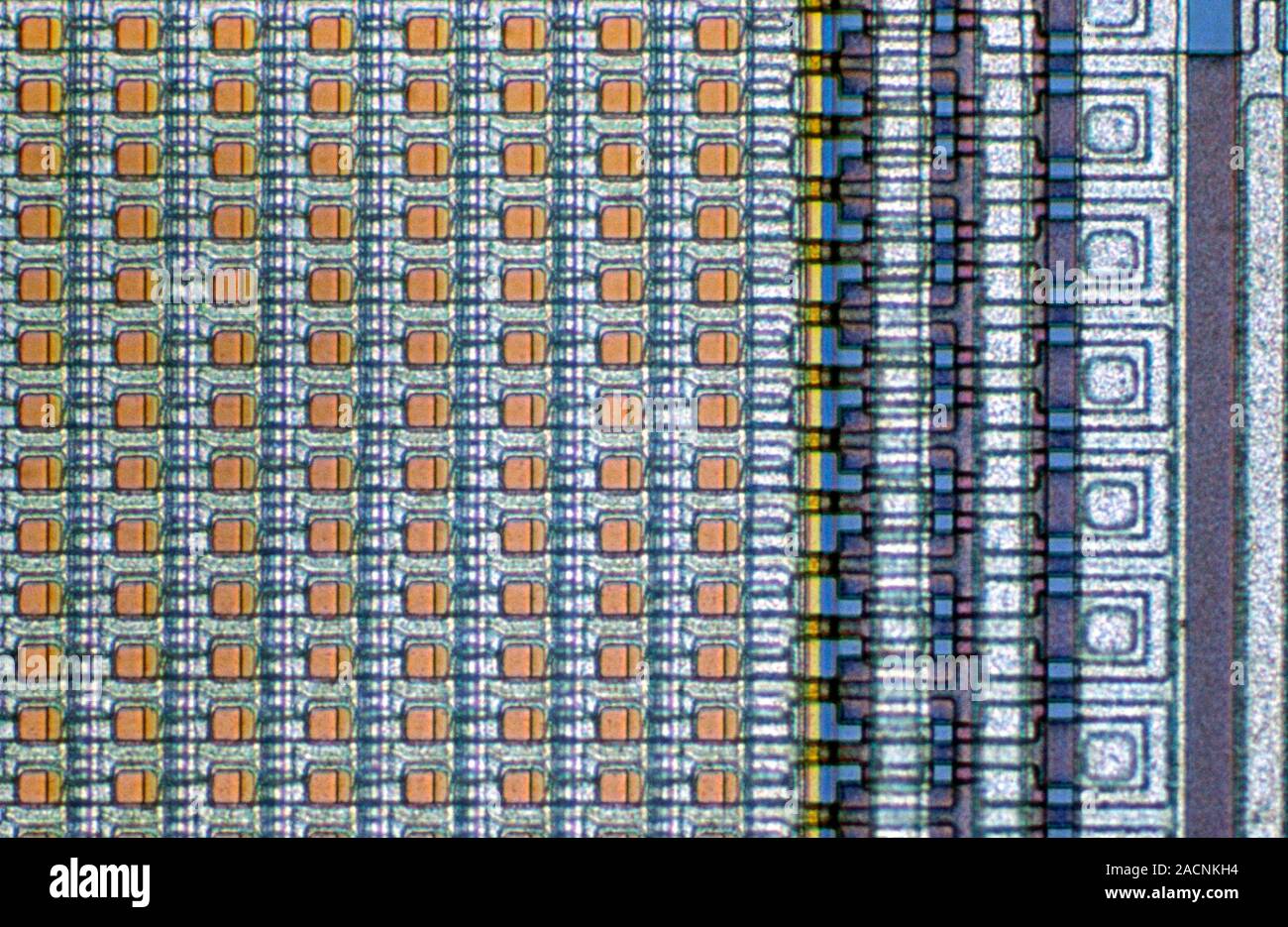CCD camera sensor. Light micrograph showing the edge (right) and pixels ...