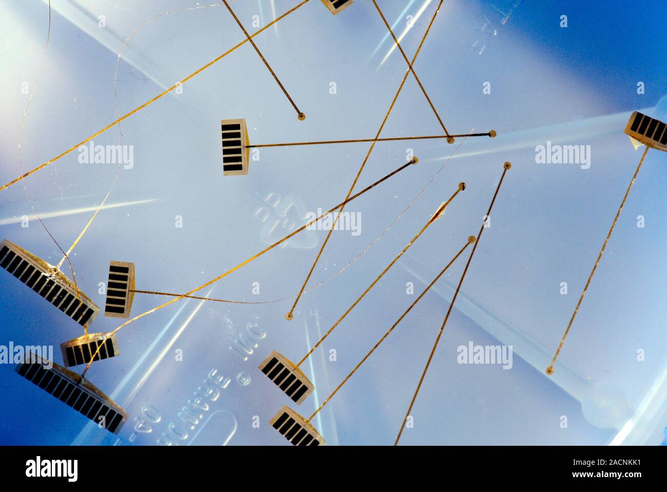Artificial retinas. Electrochemical sensors designed for use as ... Artificial retinas. Electrochemical sensors designed for use as ...