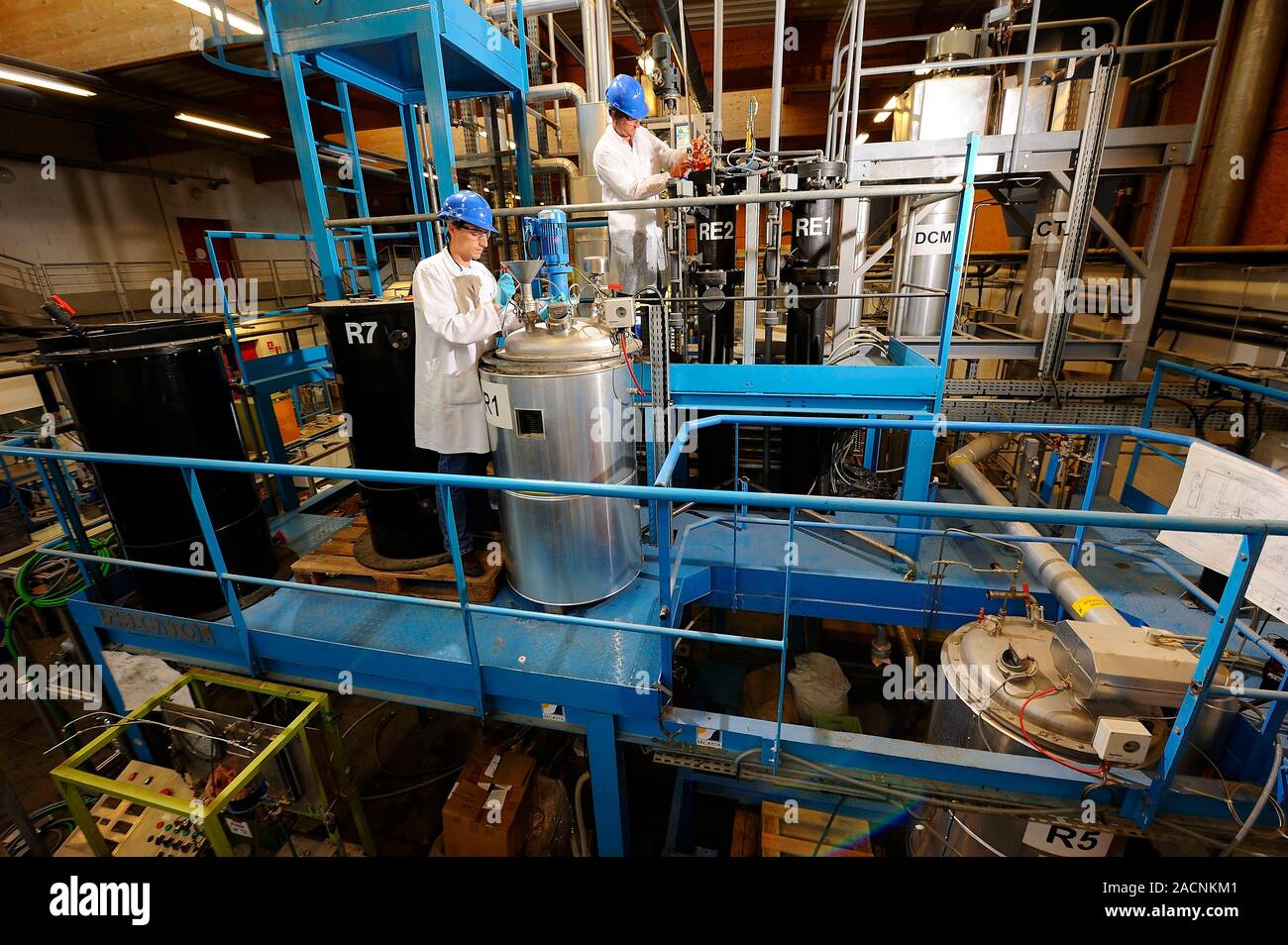 Microalgae Biofuel Research Scientists Working With Chlorella Vulgaris Microalgae This Algae