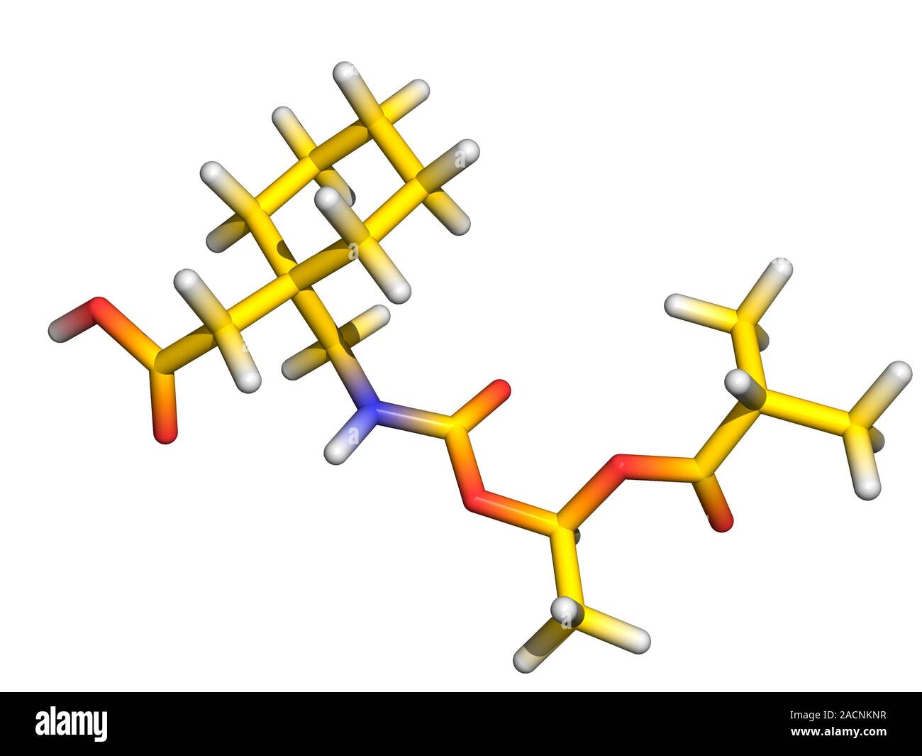 Gabapentin enacarbil drug molecule. Computer model showing the ...
