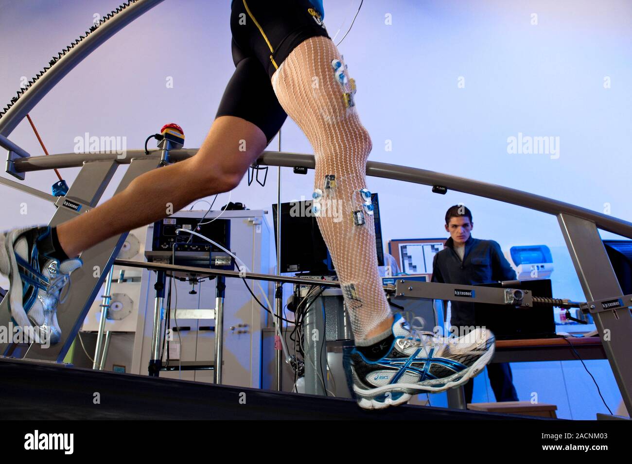 Fitness testing. Close-up of electrodes on the leg of an athlete ...
