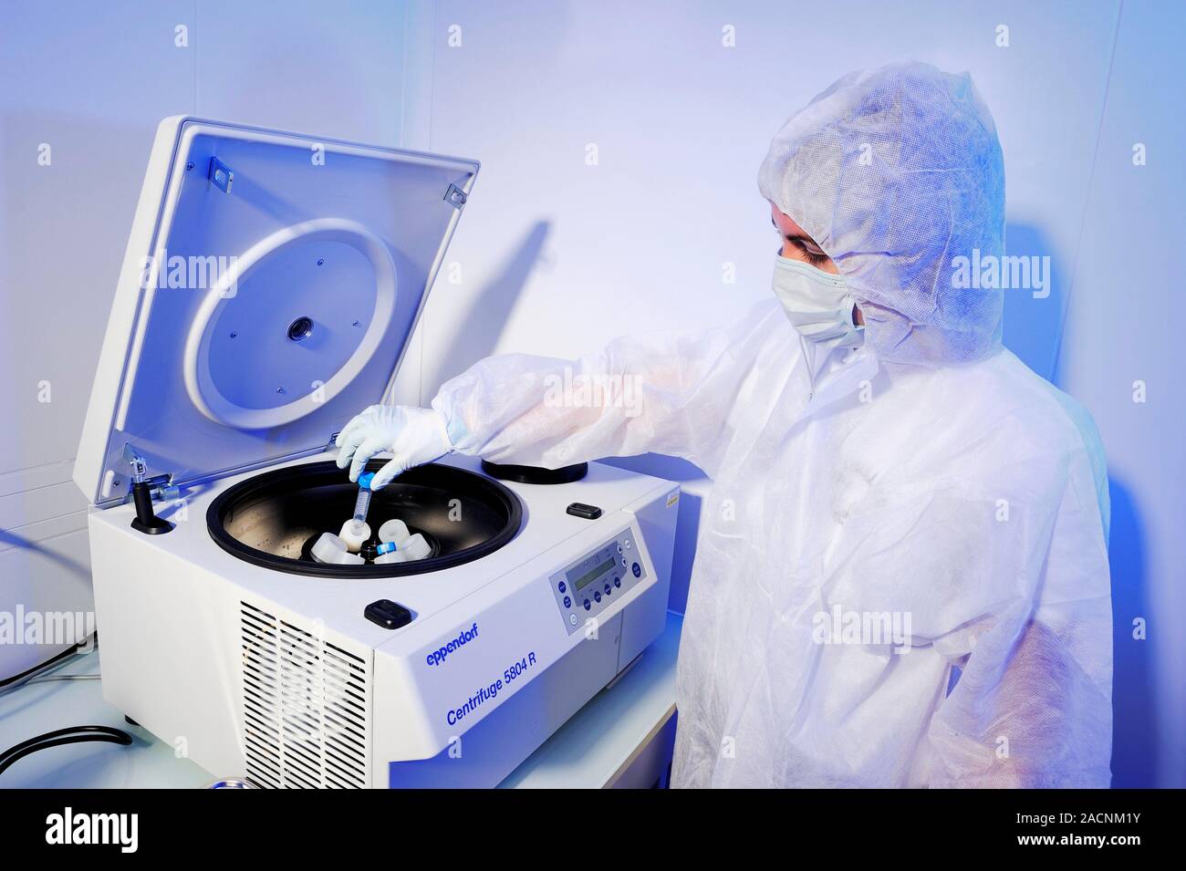 Fossil DNA analysis. Scientist extracting DNA (deoxyribonucleic acid ...