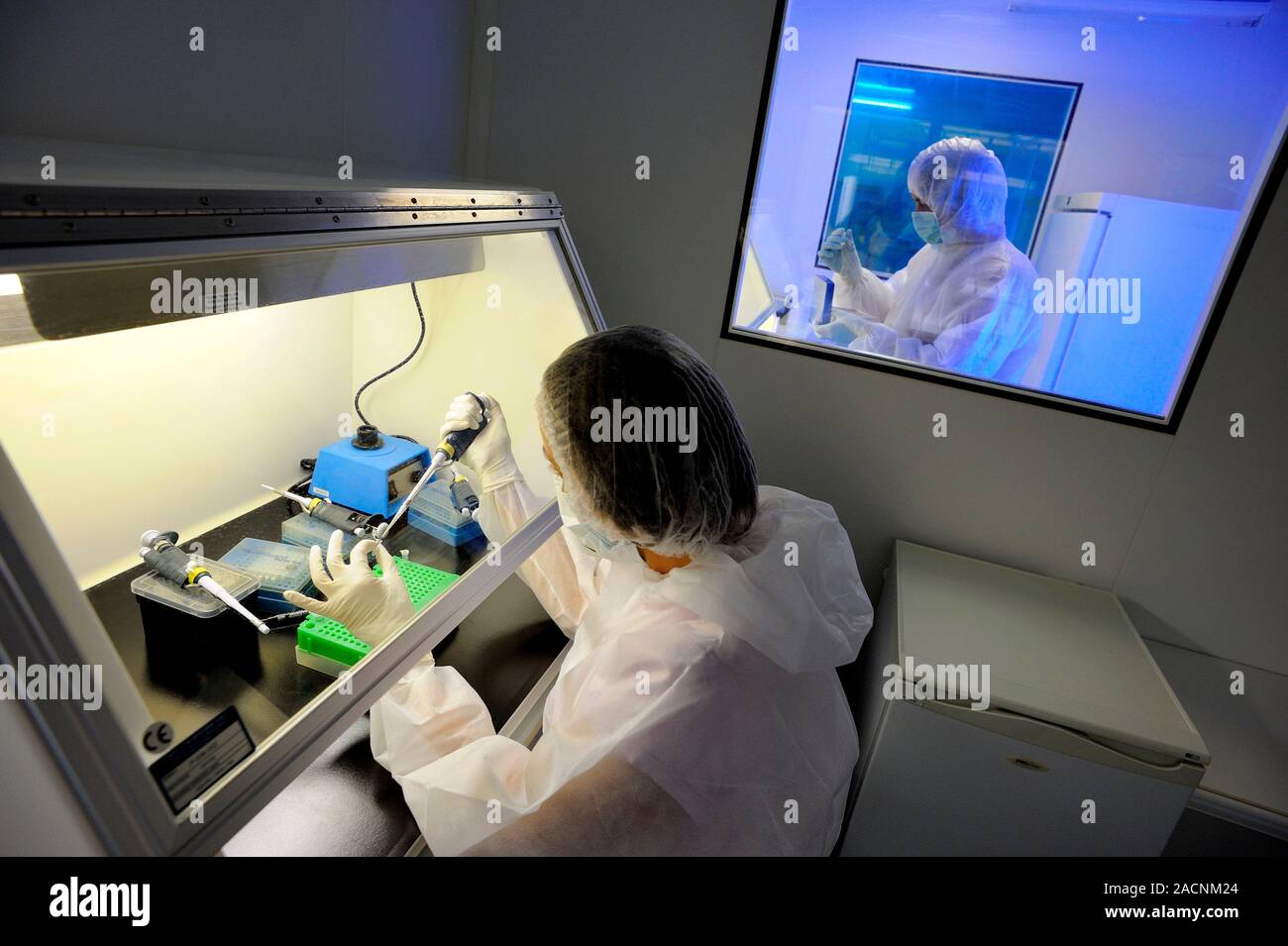 Fossil DNA analysis. Scientist extracting DNA (deoxyribonucleic acid ...
