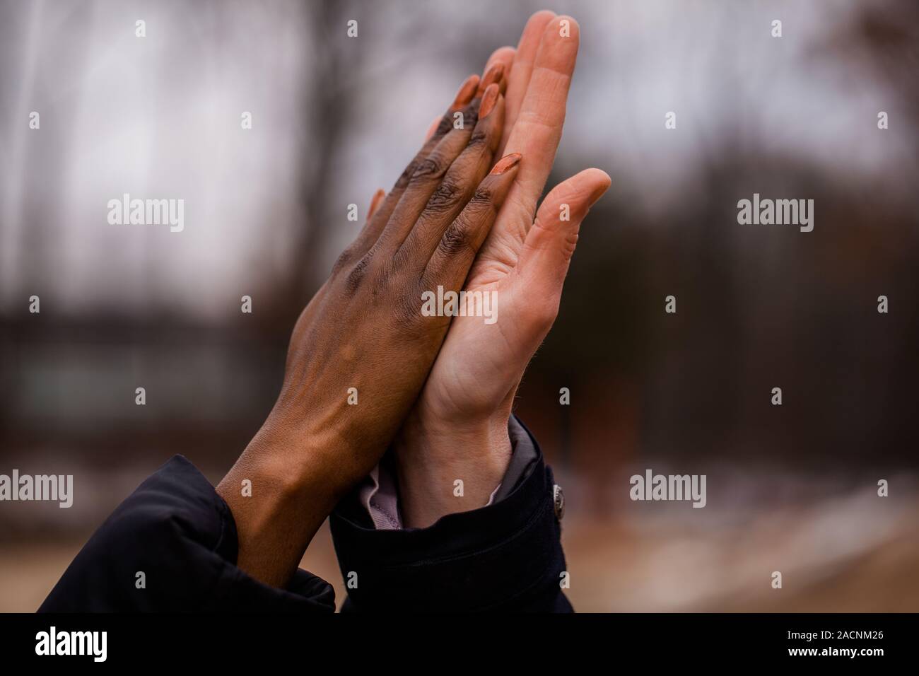 High five greeting white black hi-res stock photography and images - Alamy