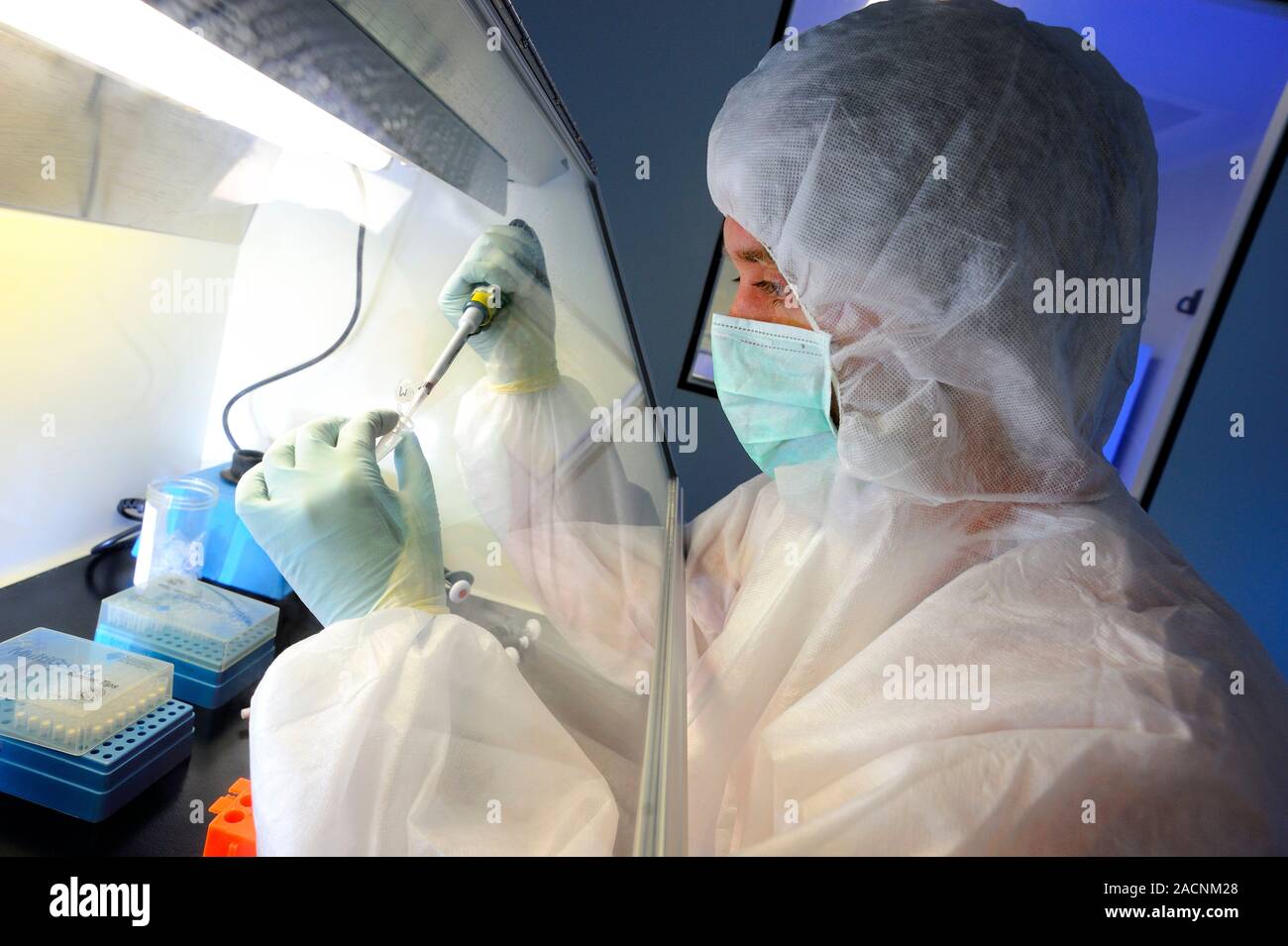Fossil DNA analysis. Scientist extracting DNA (deoxyribonucleic acid ...