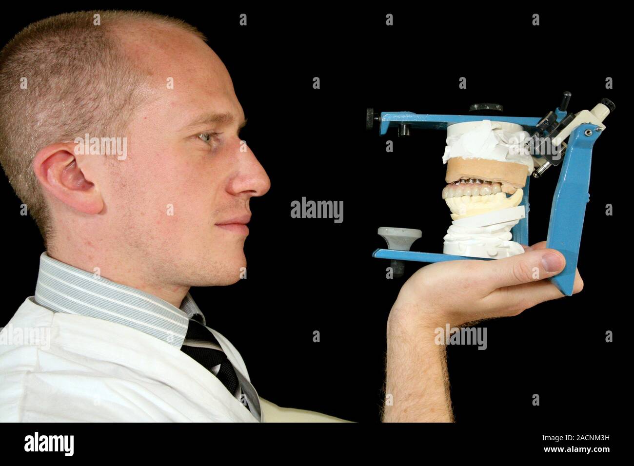 Dental prosthesis production. Worker holding a model of a patient's ...