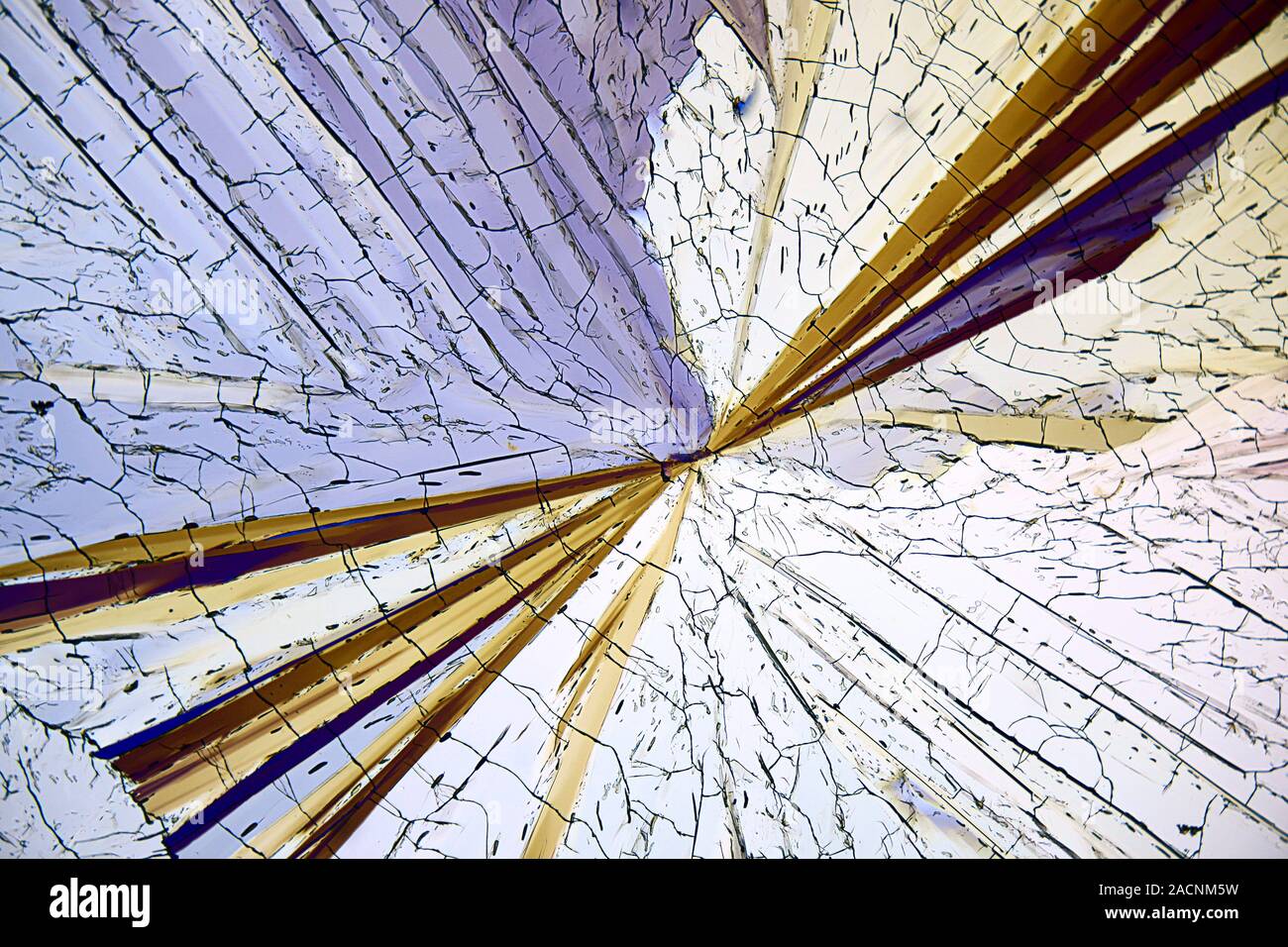 Methyl sulphonal crystals, polarised light micrograph. Magnification ...