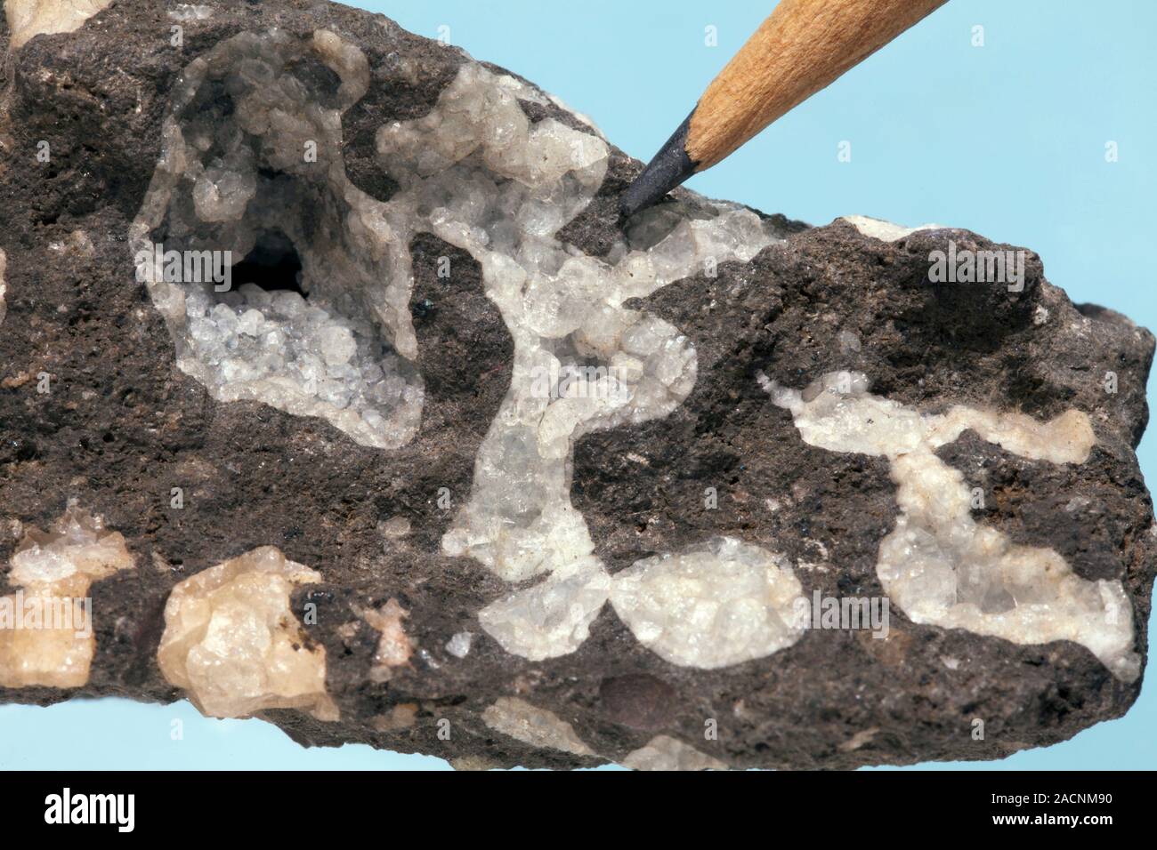 Analcime crystals. Close-up of analcime crystals (white) in their host ...