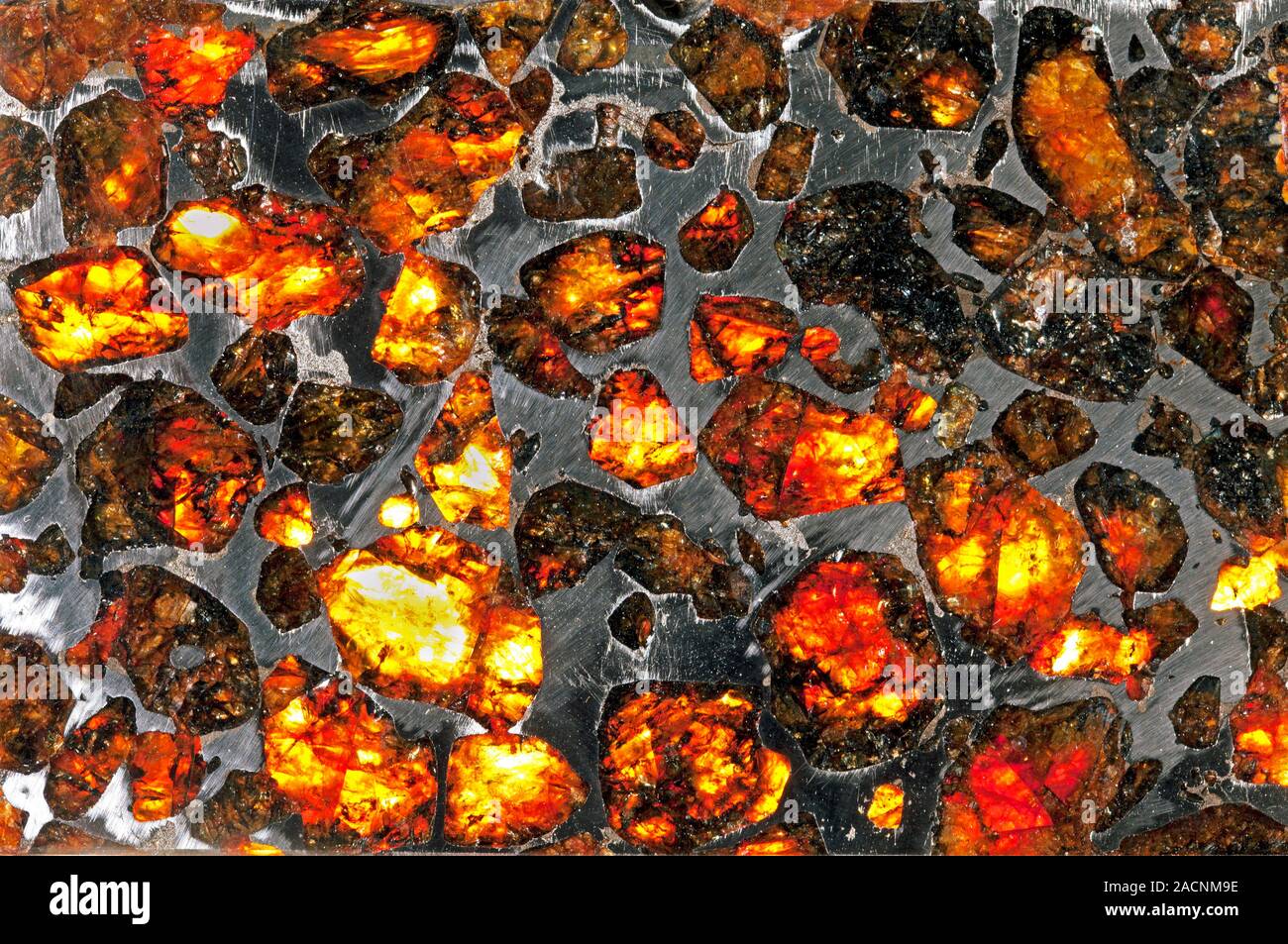 Pallasite meteorite. Close-up of the cut surface of a pallasite, or ...