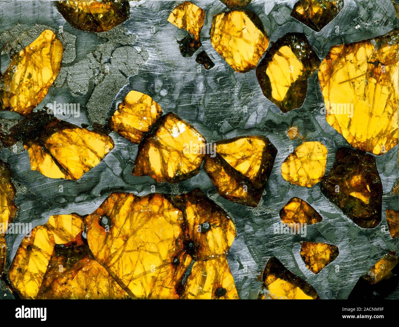 Pallasite meteorite. Close-up of the cut surface of a pallasite, or ...