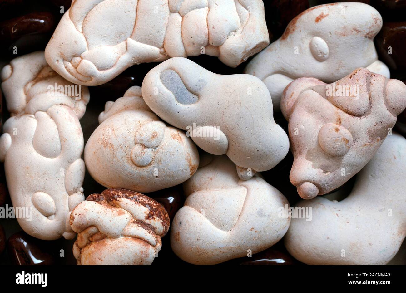 Chert nodules in chalk. Chert is a fine-grained silica-rich sedimentary ...