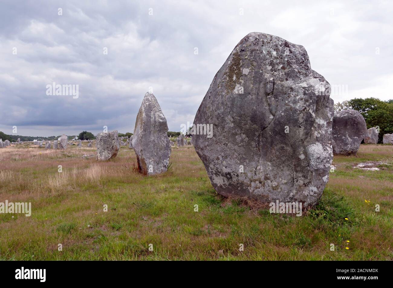 Carnac stones. Neolithic standing stones in a field. The Carnac stones ...
