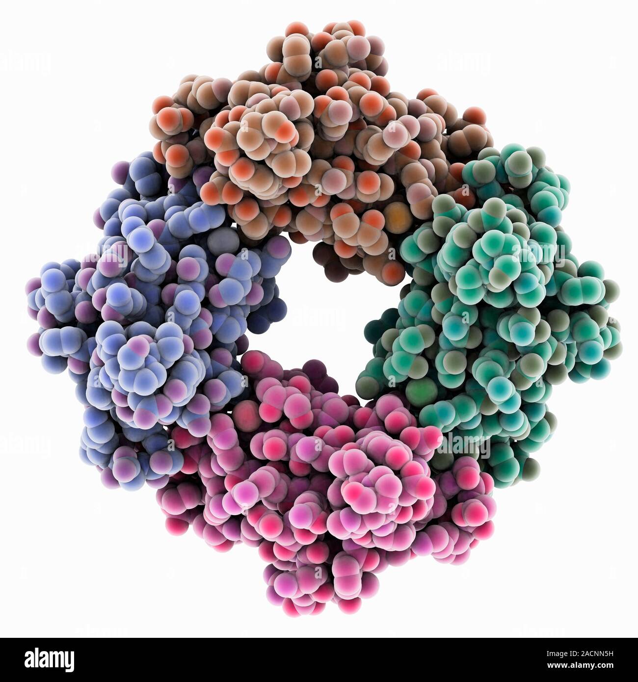Sensory Rhodopsin Transducer Molecule Computer Model Showing The Molecular Structure Of Sensory