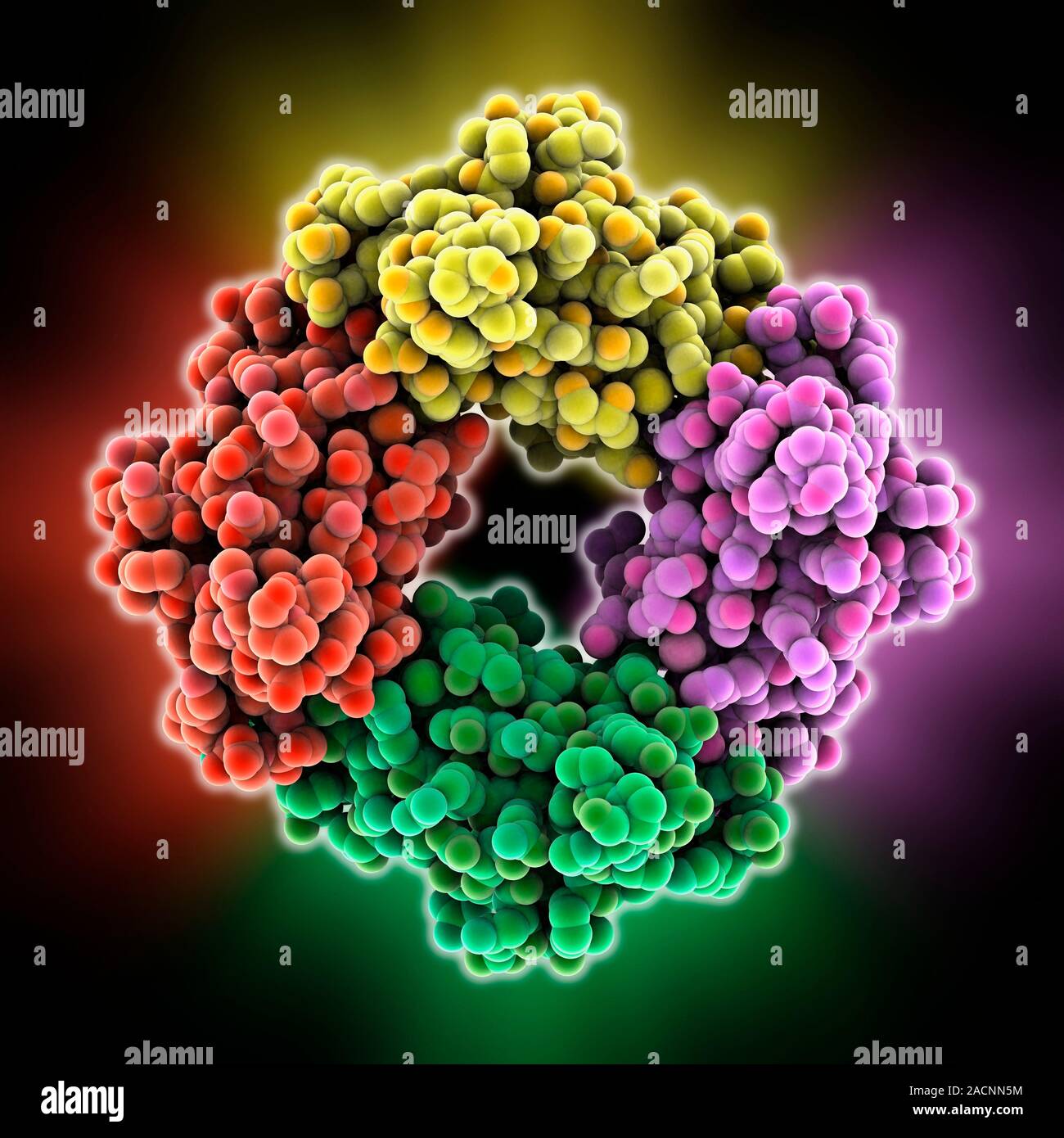 Sensory Rhodopsin Transducer Molecule Computer Model Showing The Molecular Structure Of Sensory