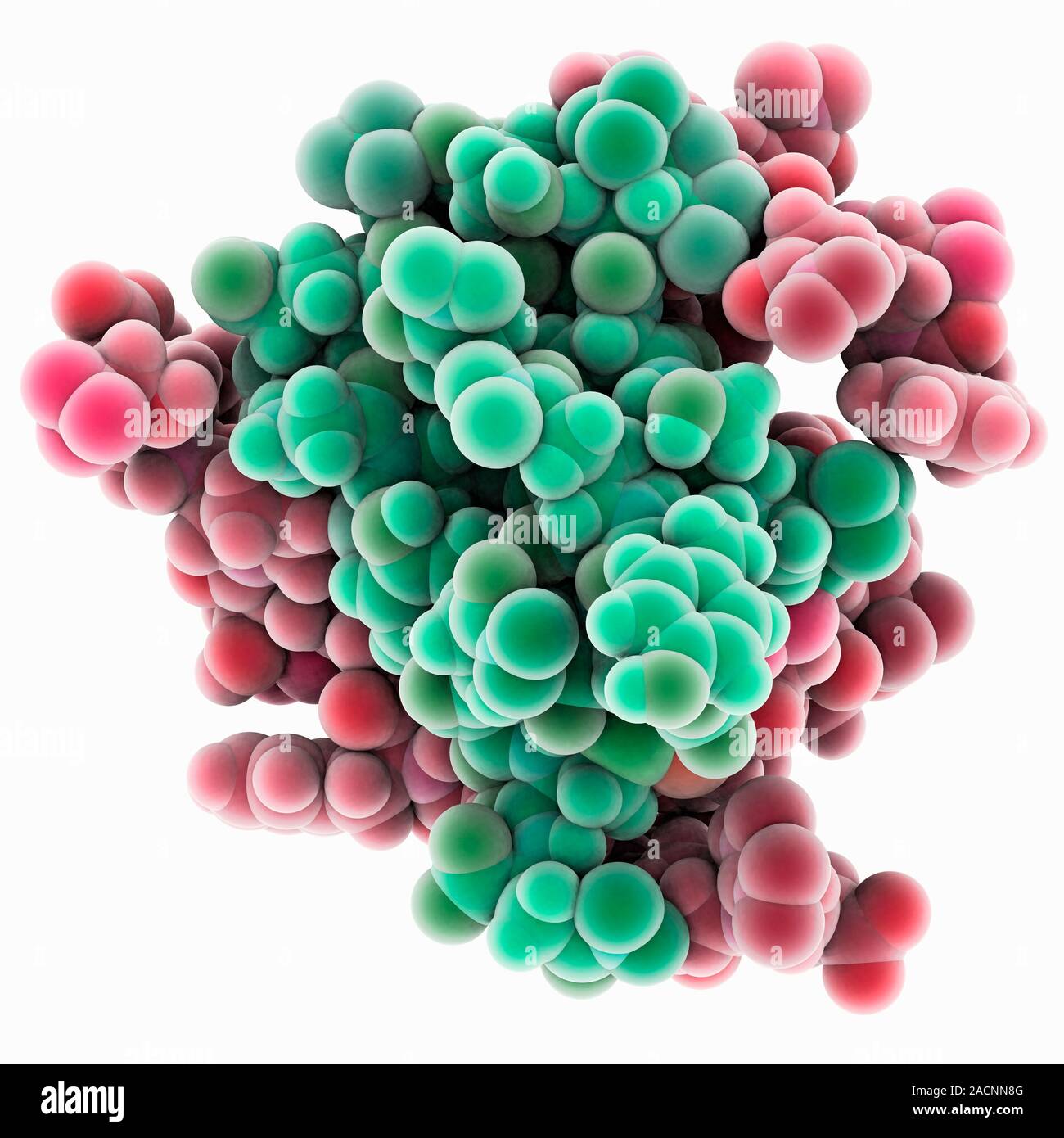 Insulin molecule. Computer model showing the structure of a molecule of ... Insulin molecule. Computer model showing the structure of a molecule of ...