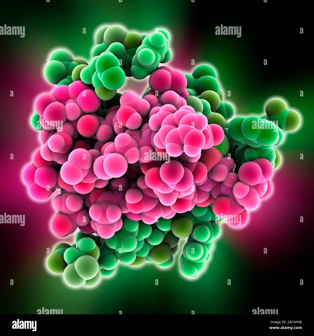 Insulin molecule. Computer model showing the structure of a molecule of ... Insulin molecule. Computer model showing the structure of a molecule of ...