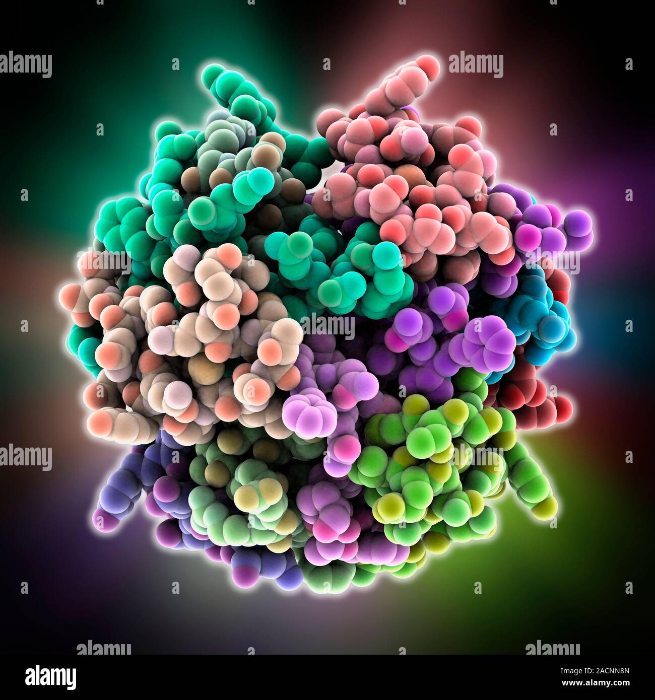 Insulin molecule. Computer model showing the structure of a molecule of ...