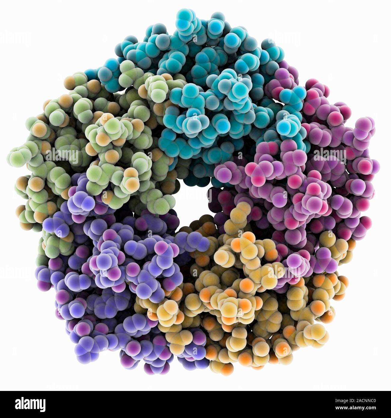 Cholera toxin molecule. Computer model showing the secondary structure of the B subunit complex ...