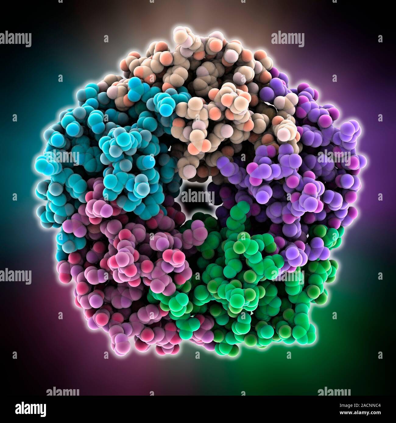 Cholera toxin molecule. Computer model showing the secondary structure ...