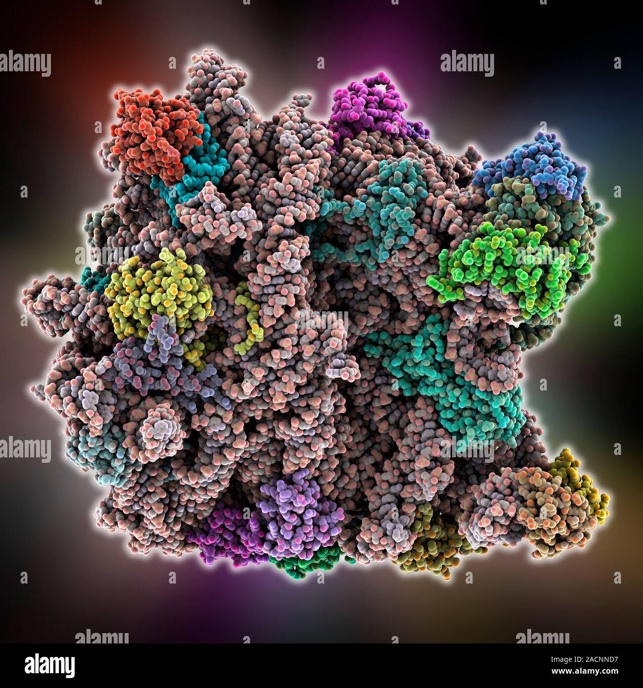 Archaeon ribosome. Molecular model of a 50S (large) ribosomal sub-unit ...
