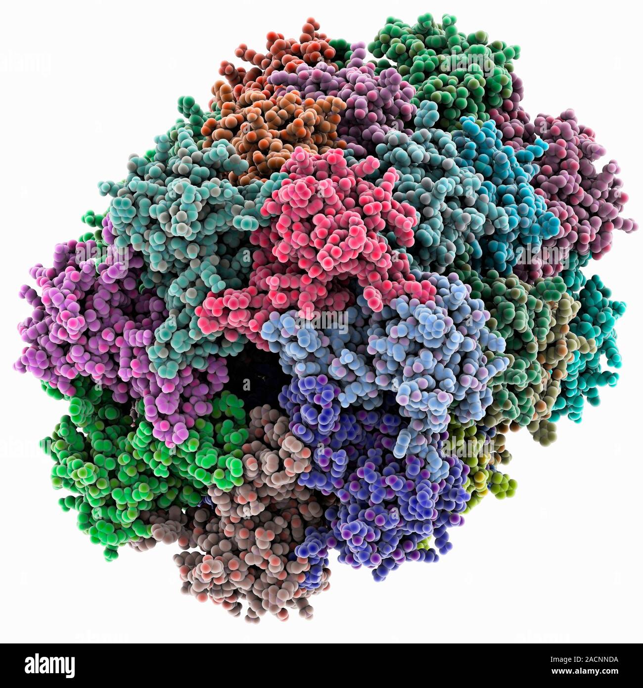 Archaeon enzyme. Molecular model of an enzyme from Thermoplasma acidophilum. This is the 20S ...