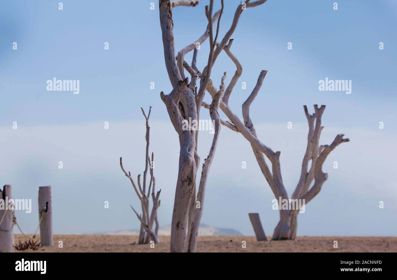 Time of the dead hi-res stock photography and images - Alamy