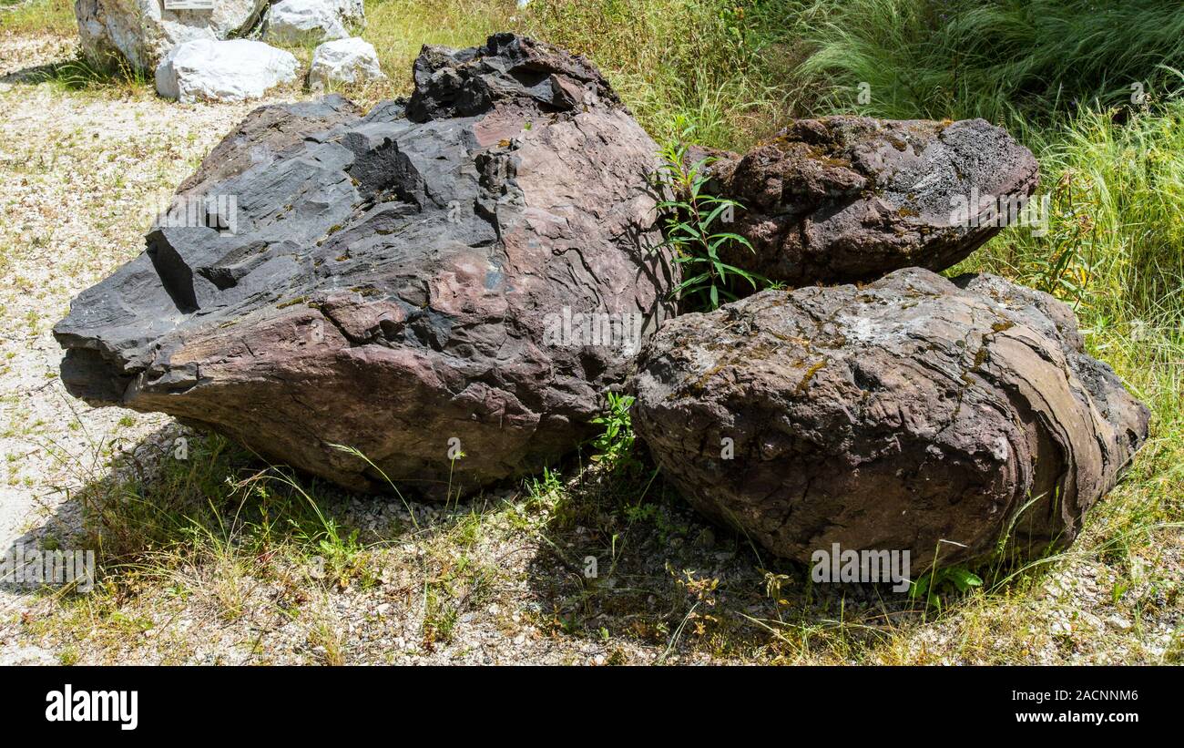 Volcanic rock samples. These are examples of a volcanic rock called ...