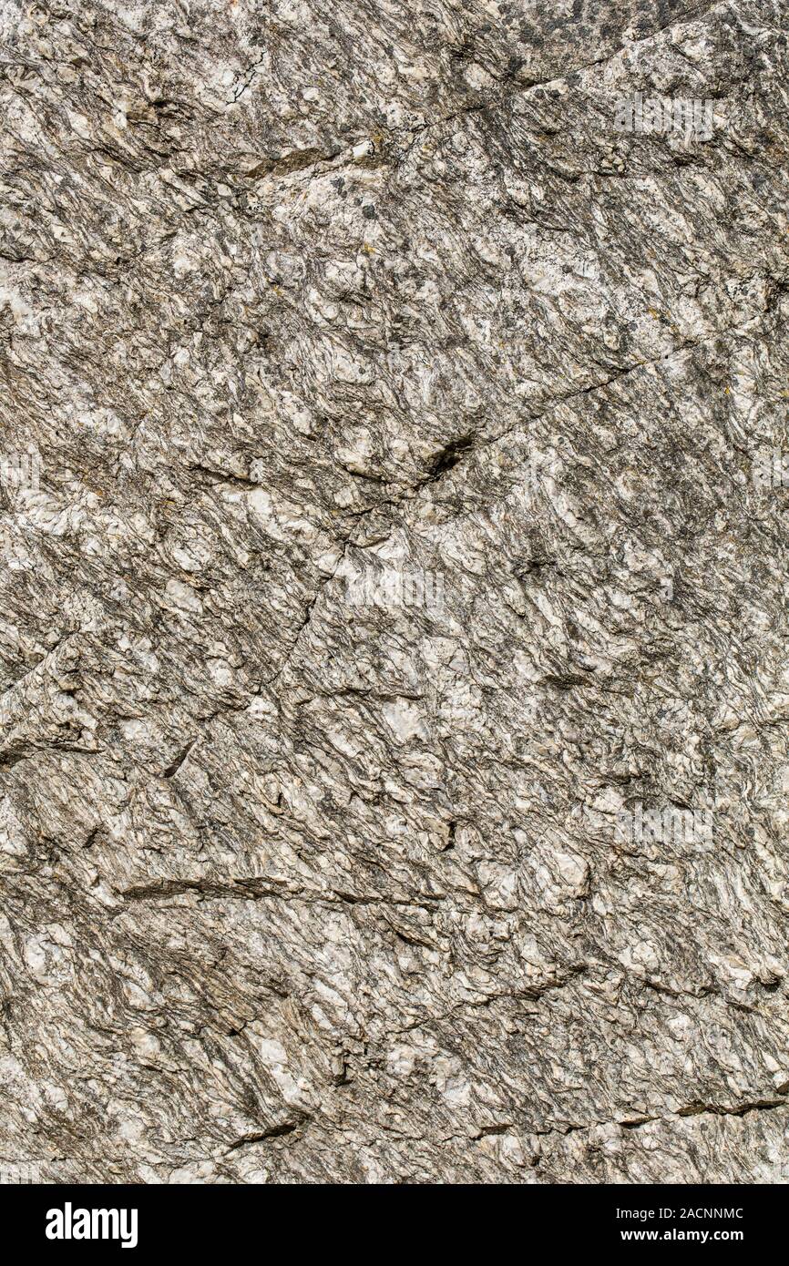Two-mica granite, close-up. This rock type is so-called because ...