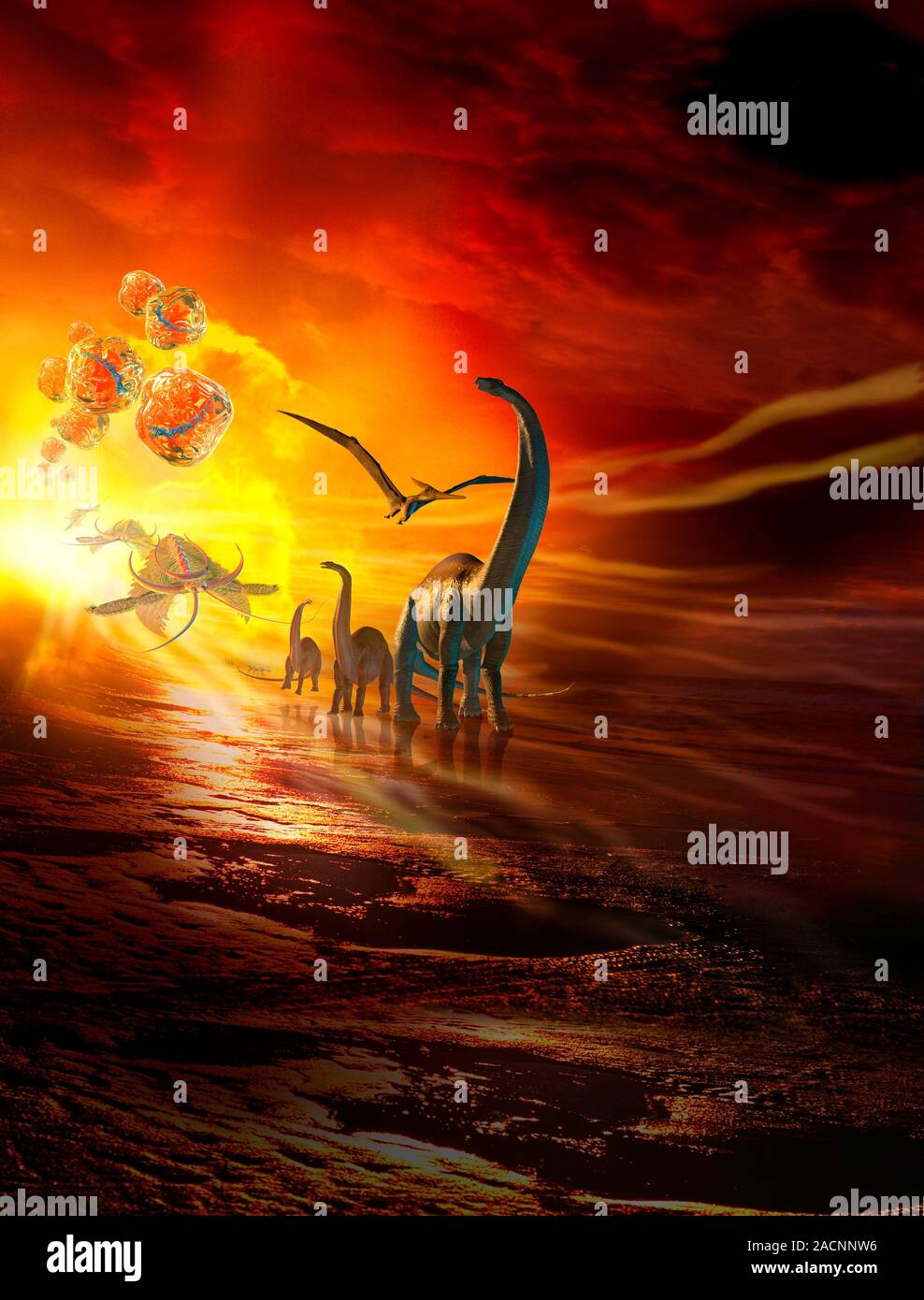 Evolution, conceptual image. Computer artwork representing the ...